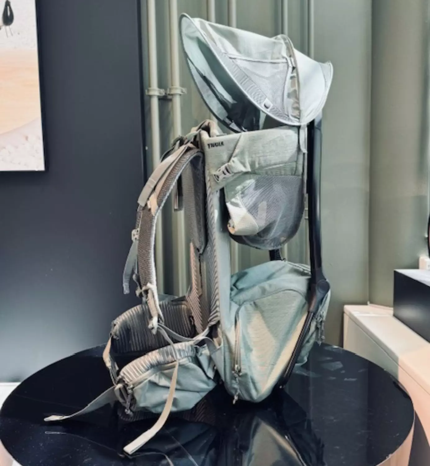 Thule Sapling Kantorinkka, Helsingin esittelykappale Agave - Wauva.com ...